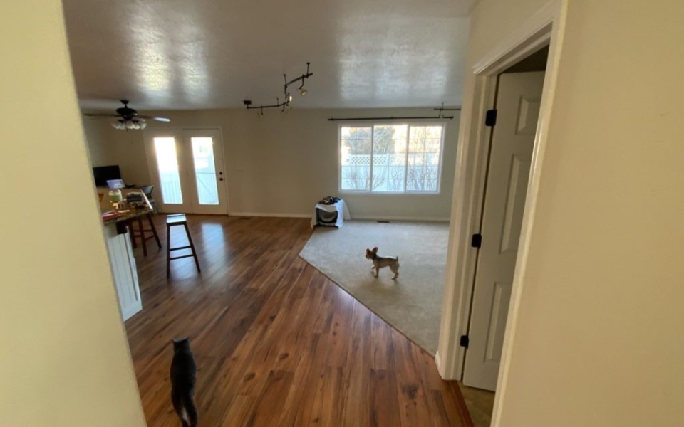 Residential Repaint | Rosewood Painting And Remodeling